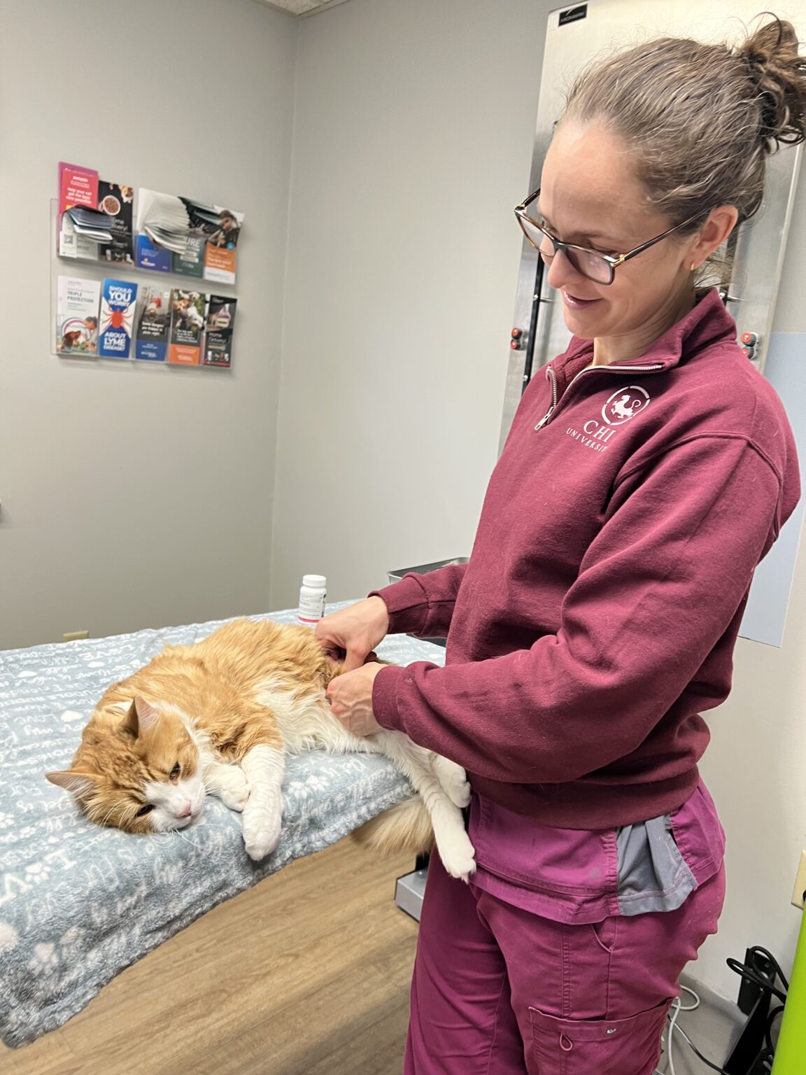 Local Resources – Heavenly Paws Shelter