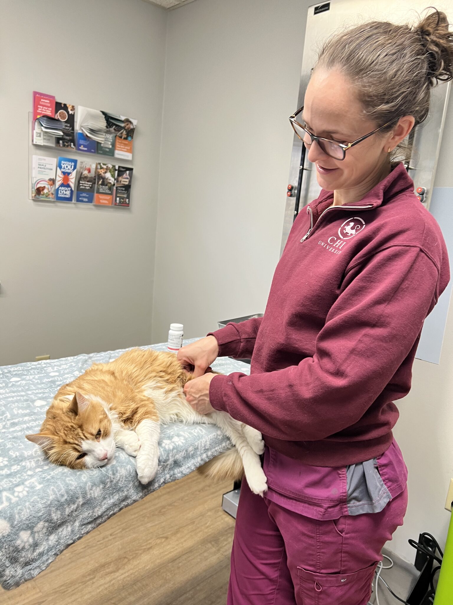 Local Resources – Heavenly Paws Shelter